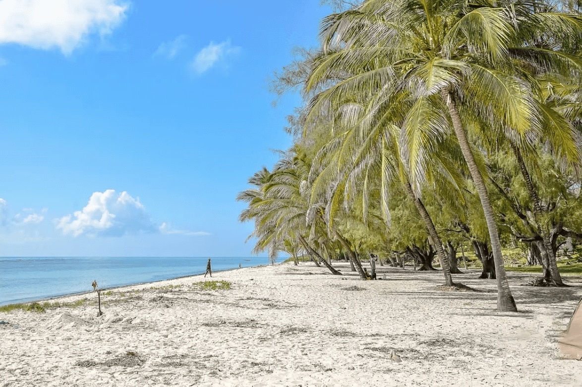 8 Incredible Places to Scuba Dive in Africa