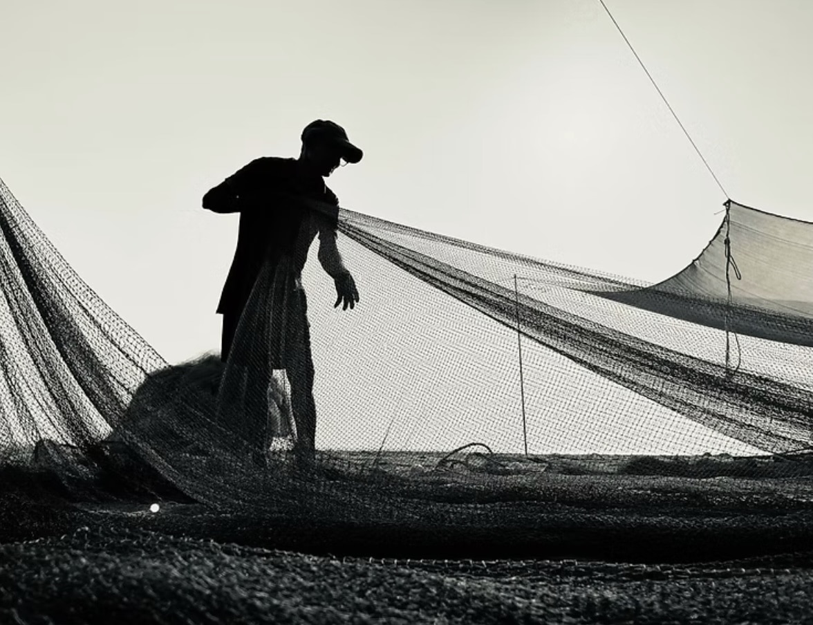 What Are Ghost Nets? The Silent Assassins of Our Seas
