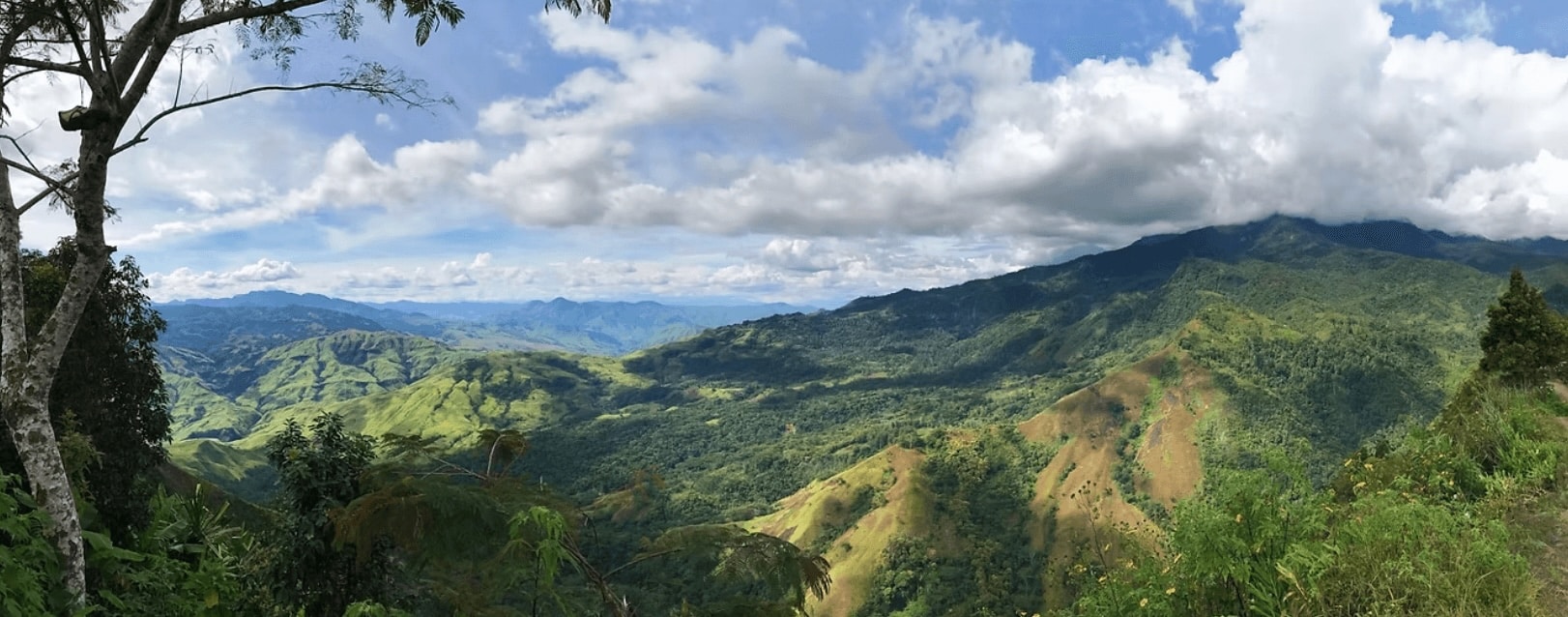 Scuba Diving in Papua New Guinea: Best Dive Sites + Dive Resorts