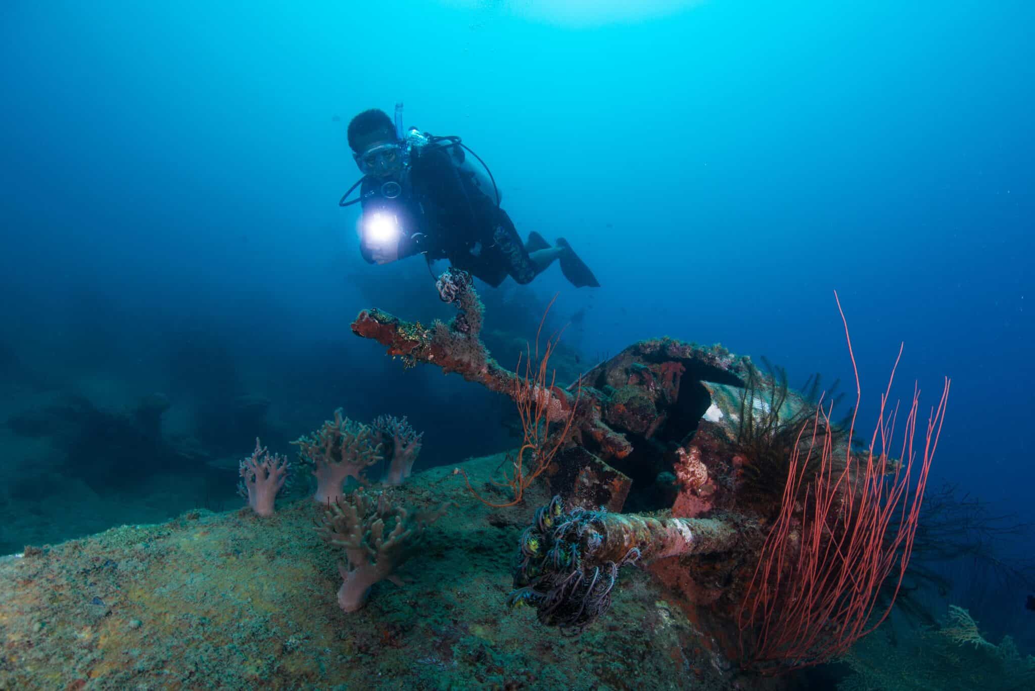 What is PADI AWARE? A Scuba-Led Movement for Marine Life