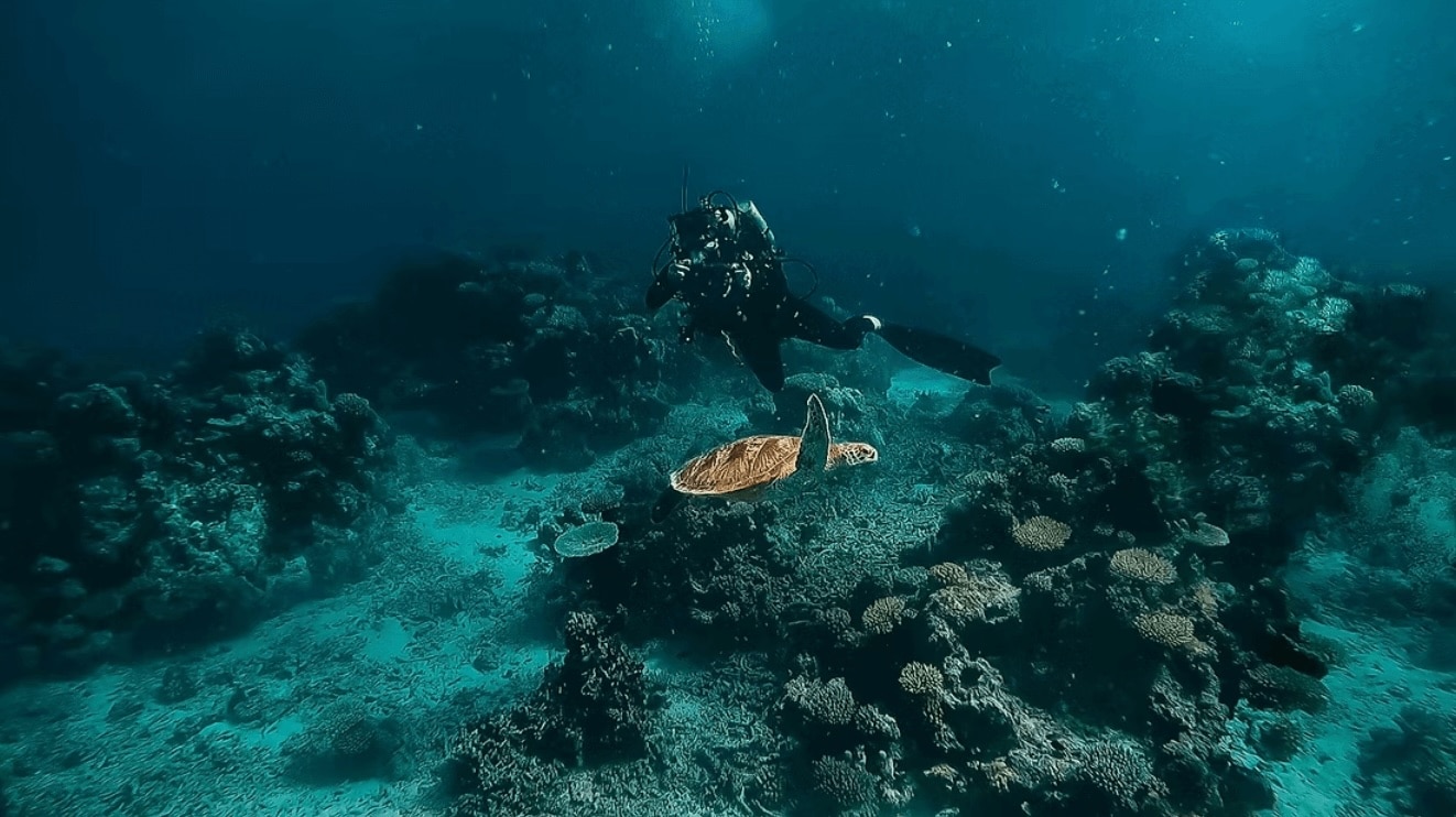 10 Incredible Ways to Tour the Great Barrier Reef