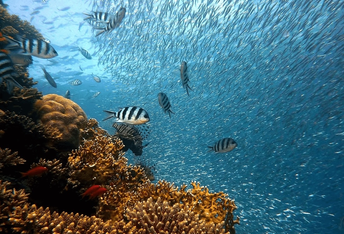 10 Incredible Ways to Tour the Great Barrier Reef