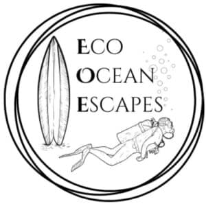 Mercury Pollution in the Ocean and its Impacts on Marine Life